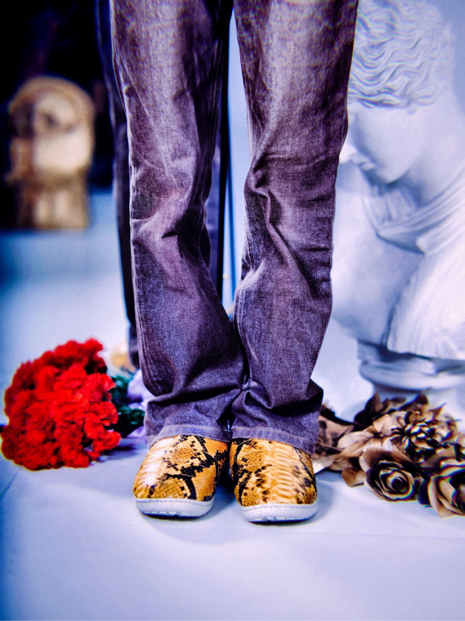 RE:Crocodile & RE:Python